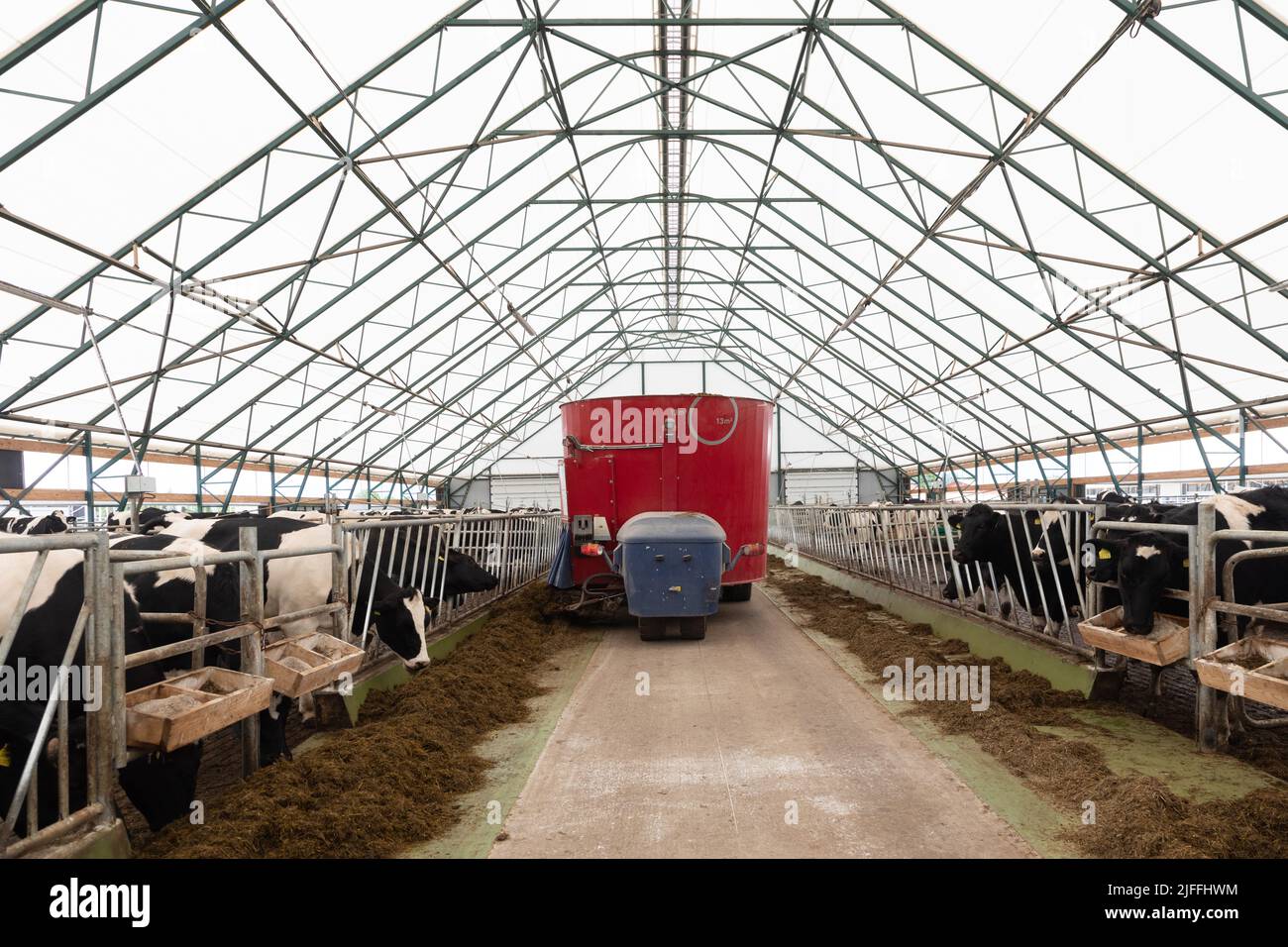 Distributing beef hi-res stock photography and images - Alamy