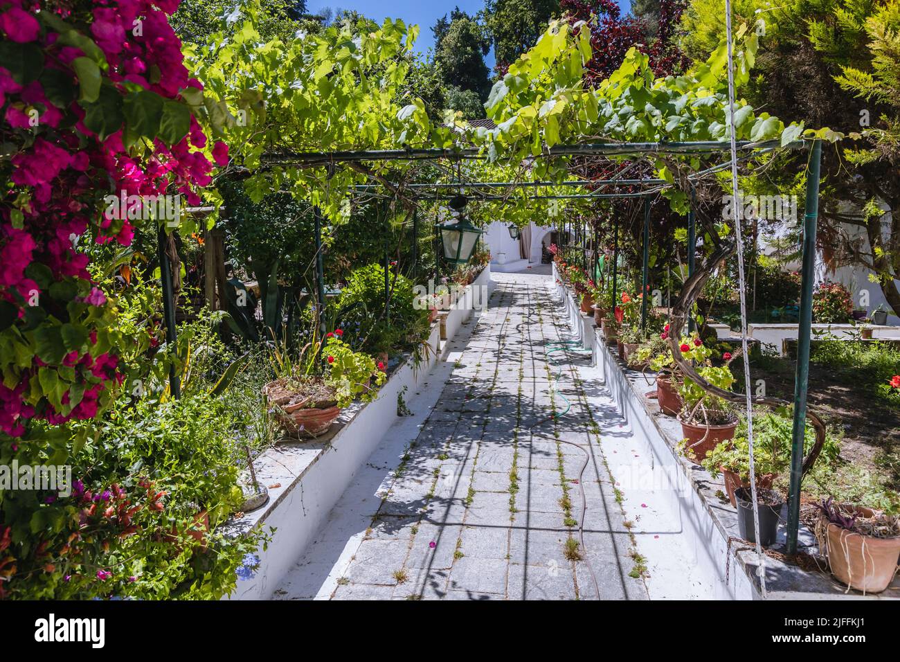 Garden of Saint Euphemia Monastery in Corfu city, one of the oldest ...