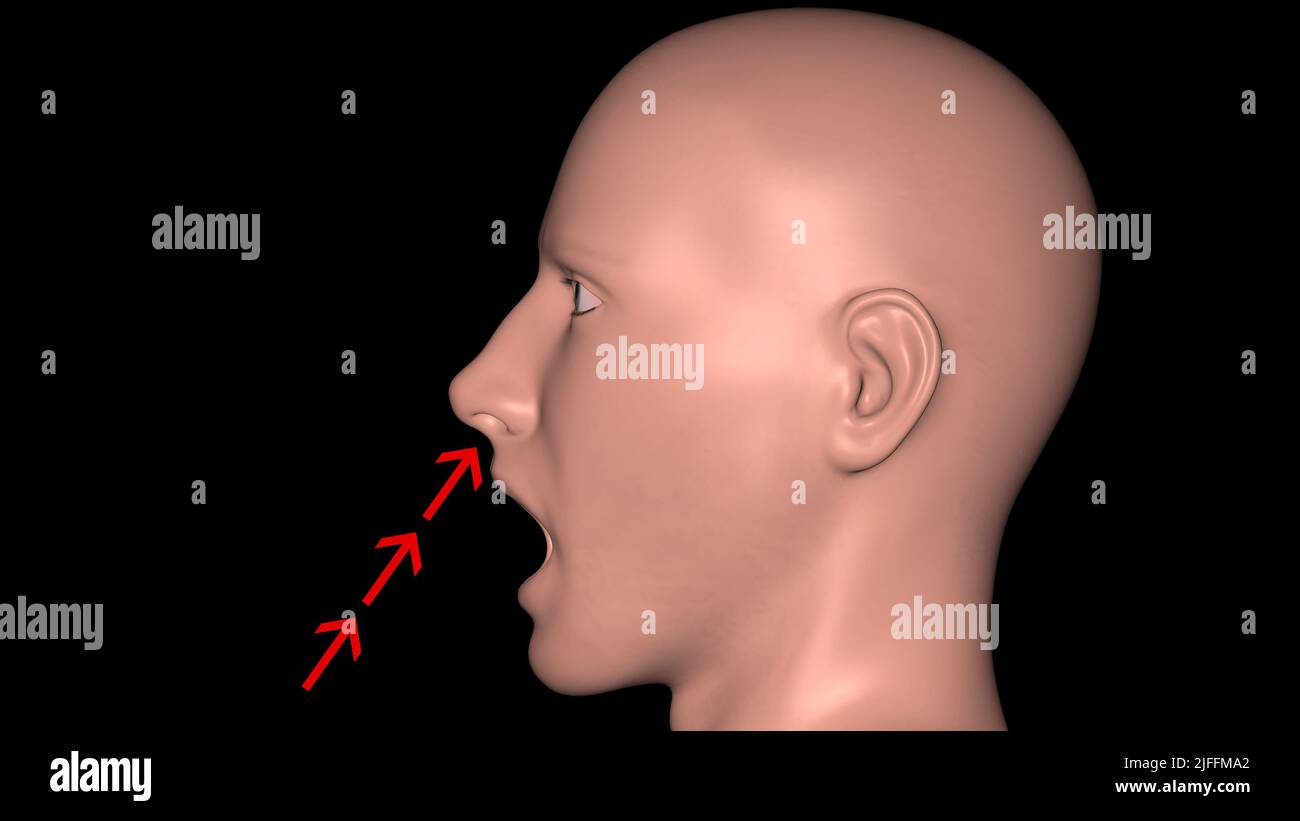 Arrows entering nose . Arrows enter nostrils of human face silhouette ...