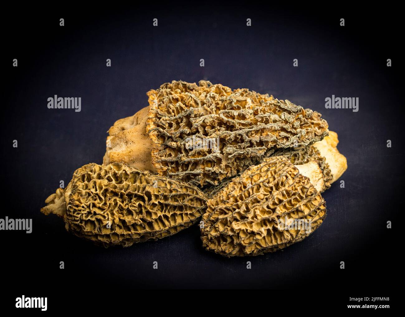 Vector morel hi-res stock photography and images - Alamy
