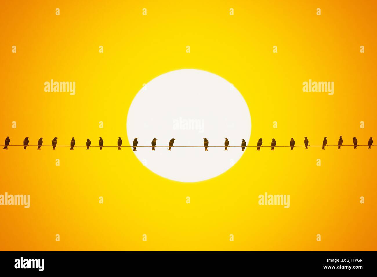 Chatter conversation hi-res stock photography and images - Alamy