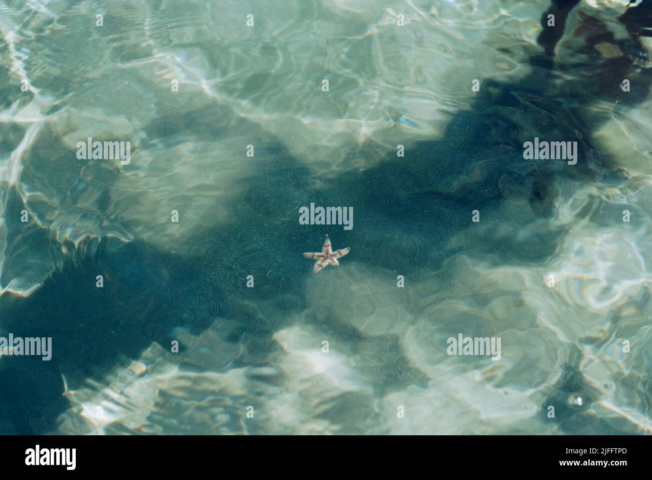 Abstract Real beauty nature background. Ocean bokeh Sea ripple wave ...
