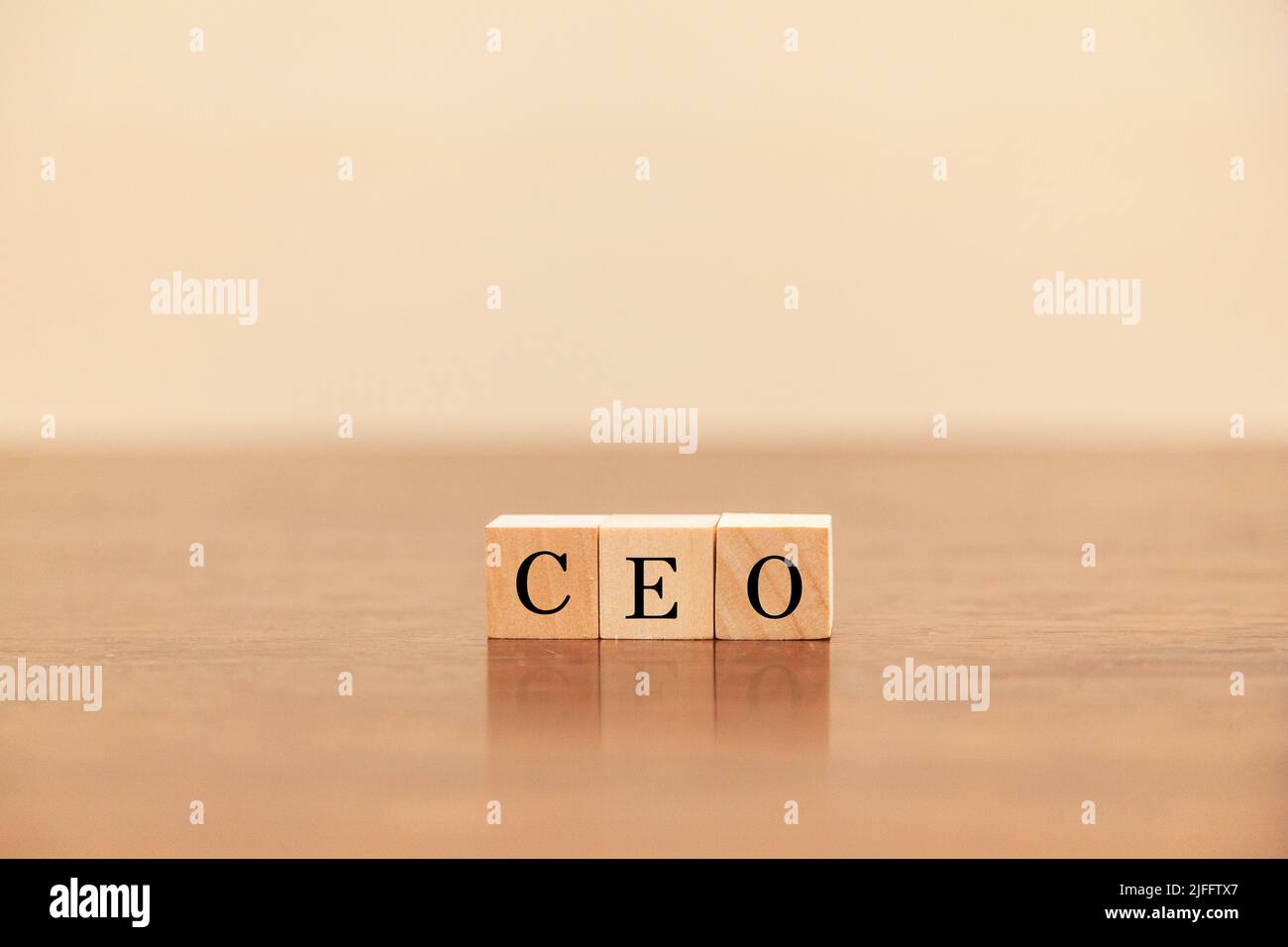 CEO character. Chief executive officer. Chief Executive Officer ...