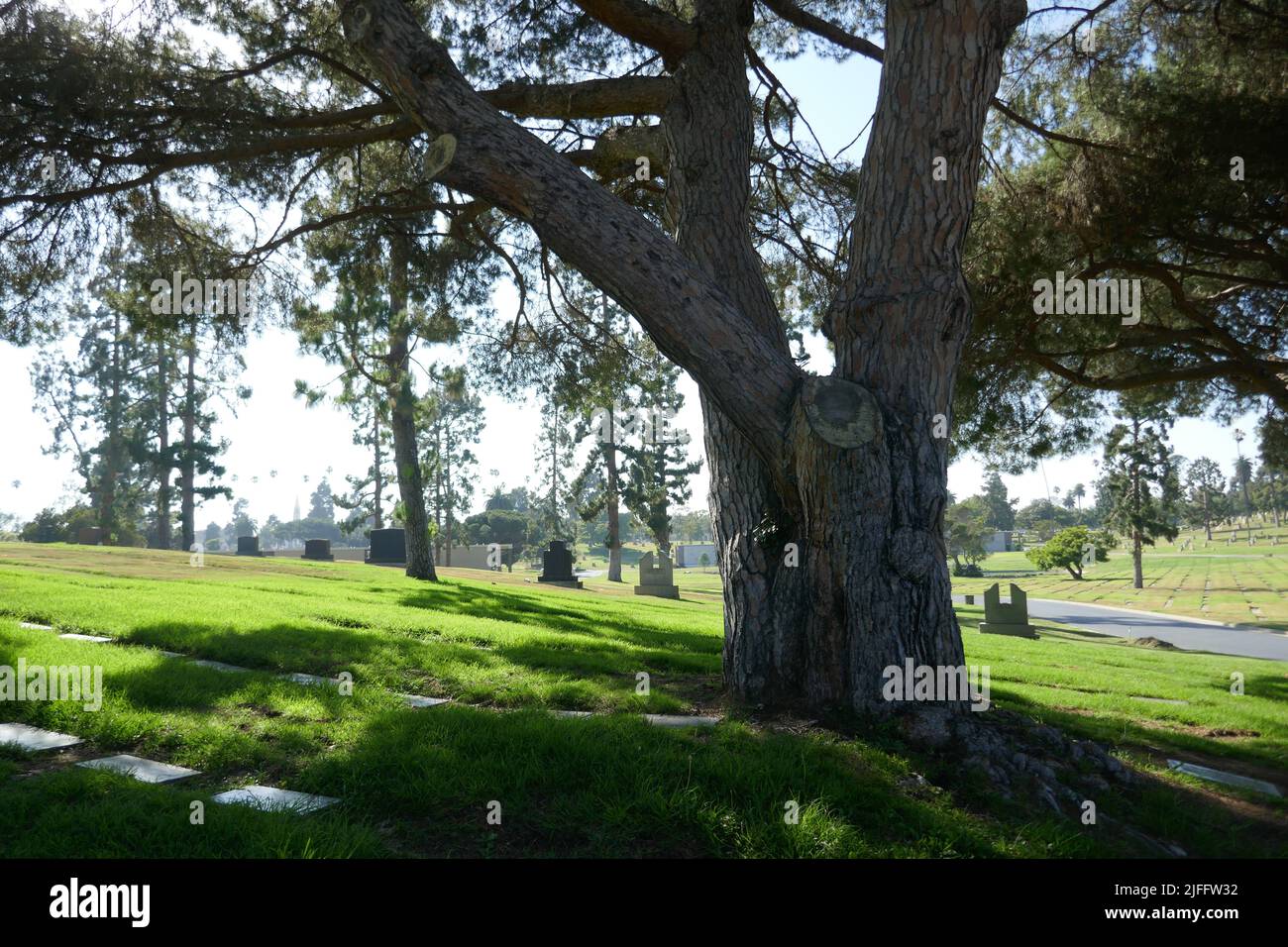 Inglewood, California, USA 29th June 2022 Actress Gypsy Rose Lee's ...