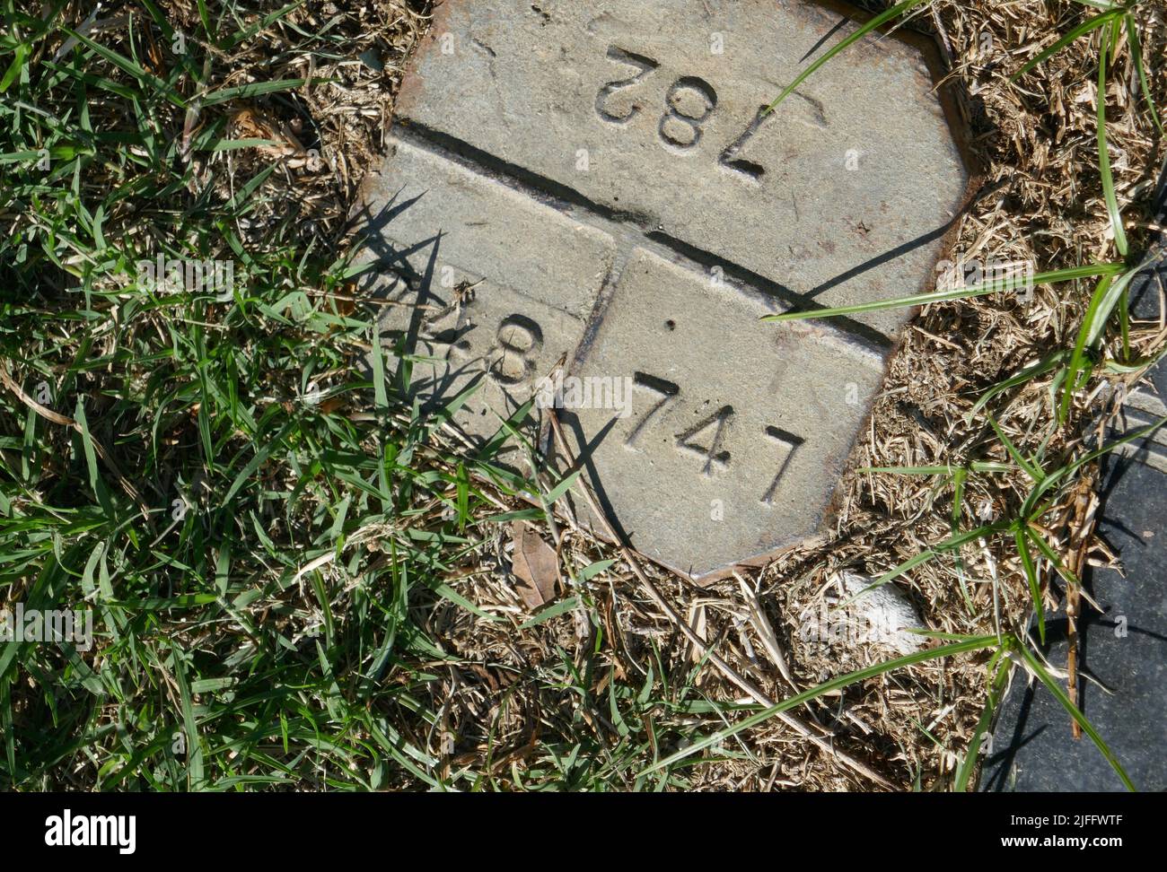 Inglewood, California, USA 29th June 2022 Actor Ray 'Crash' Corrigan's ...