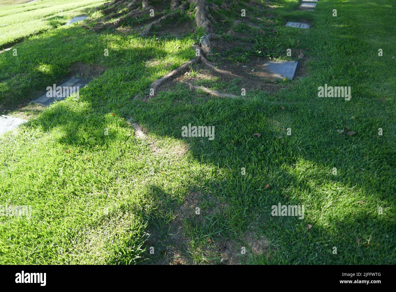 Inglewood, California, USA 29th June 2022 Actor Ray 'Crash' Corrigan's ...