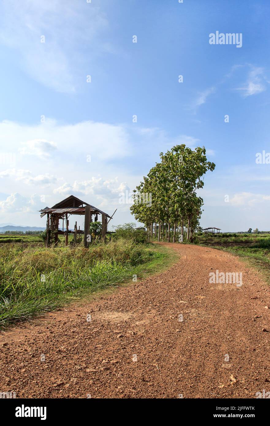 Local road in agricultural hi-res stock photography and images - Alamy