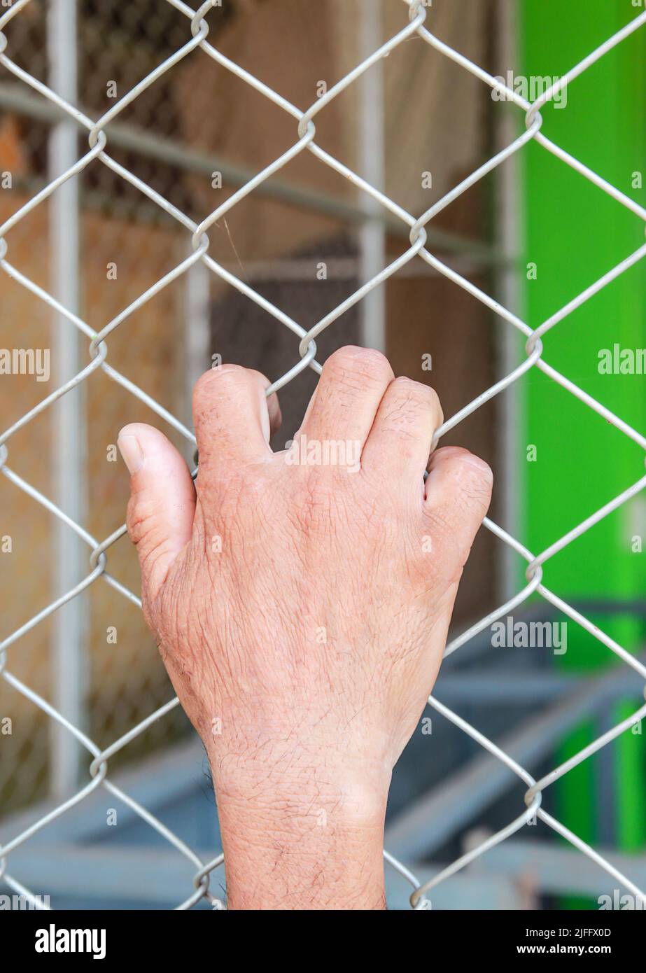 Hands with Mesh cage, Hands with steel mesh fence Stock Photo - Alamy
