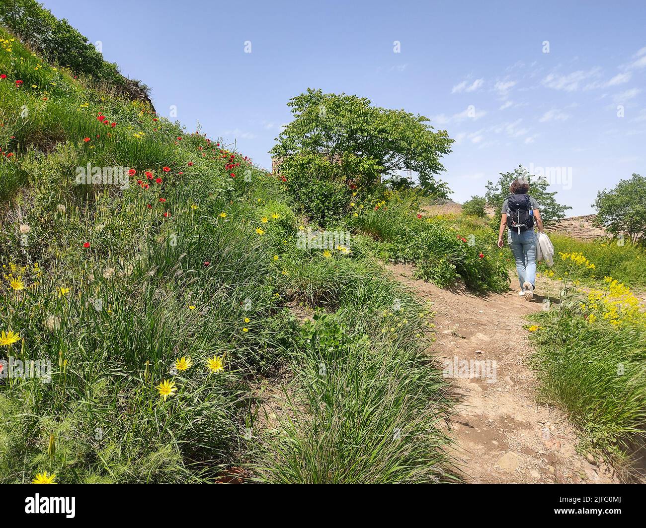 Tbilisi nature ecological botanic garden - park for green flora Stock ...
