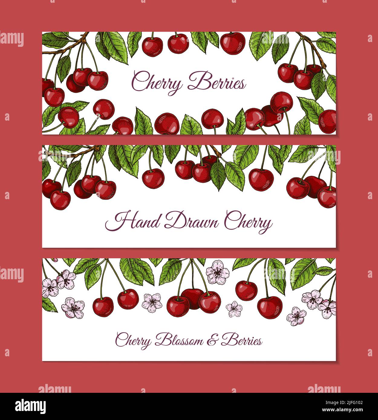 Set of colorful horizontal cherry designs. Vector illustration in ...