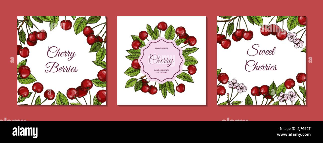 Set of colorful square cherry designs. Vector illustration in colored ...