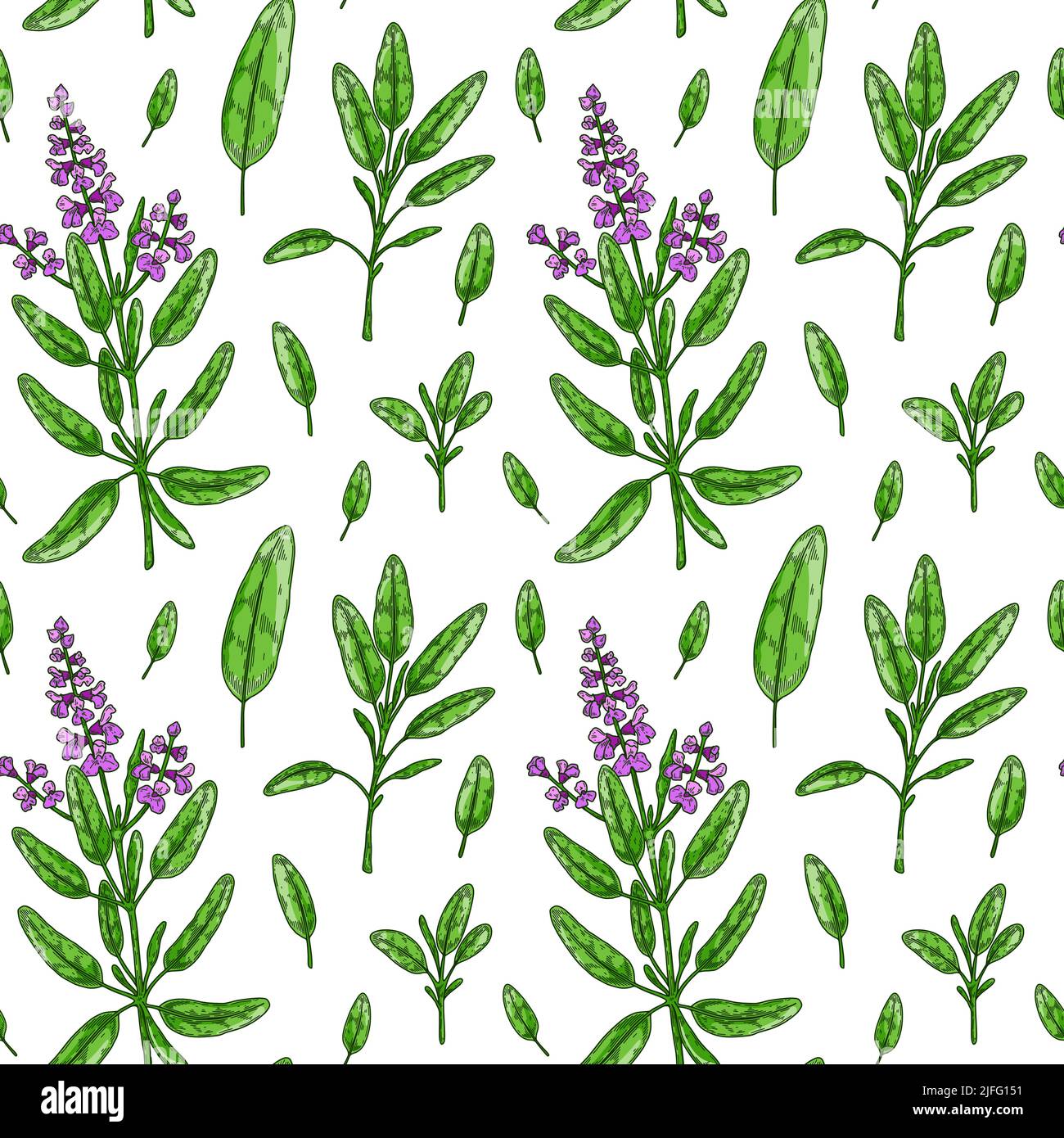 Seamless pattern with sage leaves and flowers. Hand drawn greens and ...