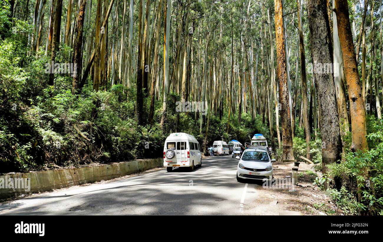 Ooty,Tamilnadu,India-June 04 2022: Tourists passing and stopping in ...