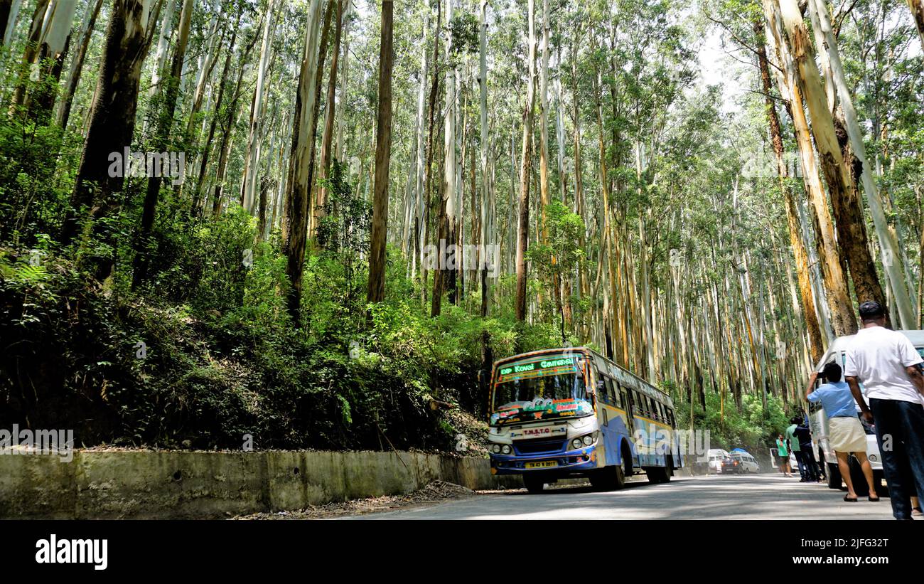 Ooty,Tamilnadu,India-June 04 2022: Tourists passing and stopping in ...
