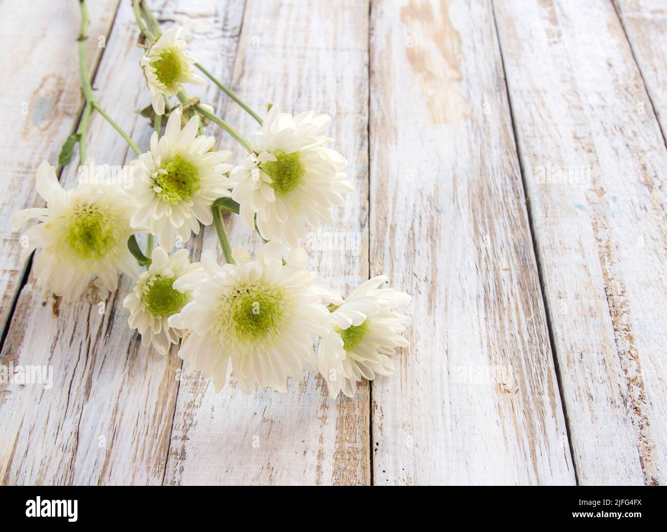 Fresh flowers on white wood table background Stock Photo - Alamy