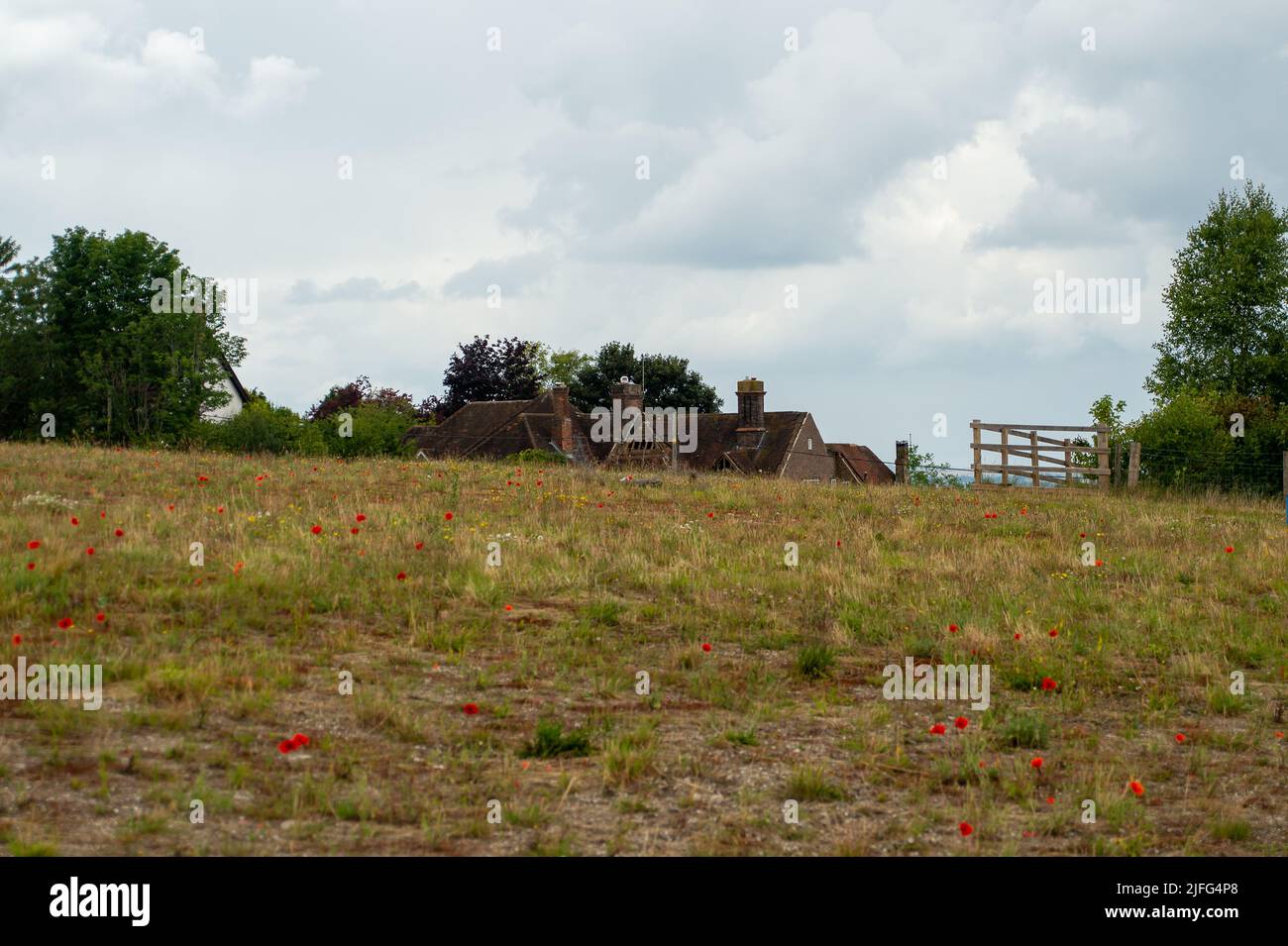 Wellwick farm hi-res stock photography and images - Alamy