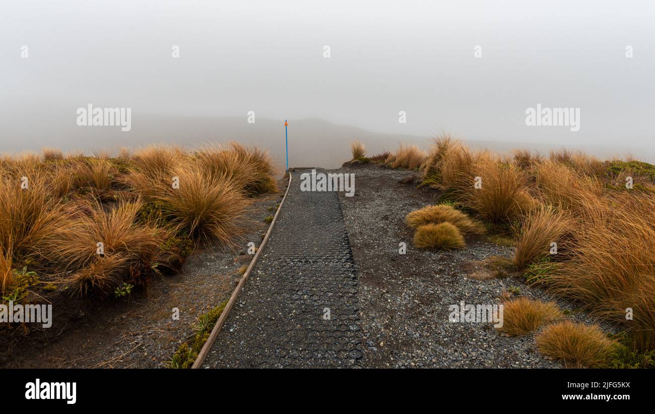 Tama Lakes track in thick fog, section of the track with mats ...