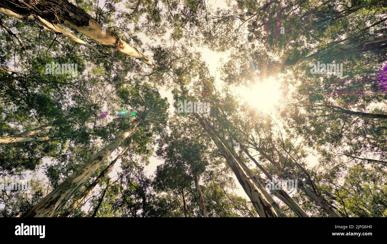 Ooty road trip hi-res stock photography and images - Alamy