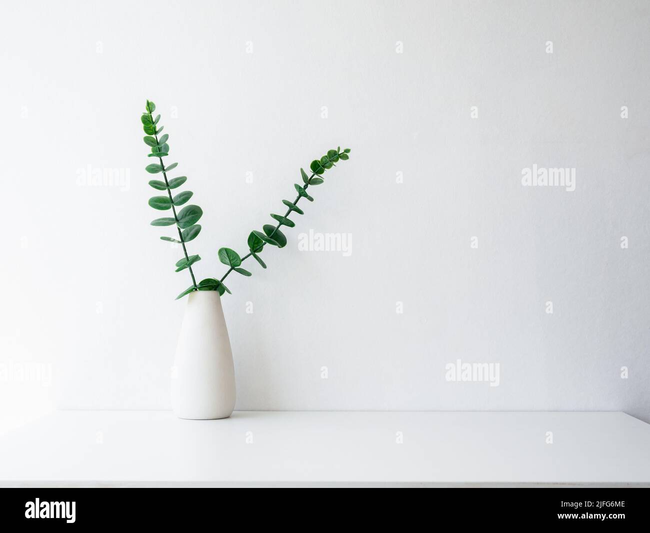 Home interior elegant floral vase decor, soft white composition ...