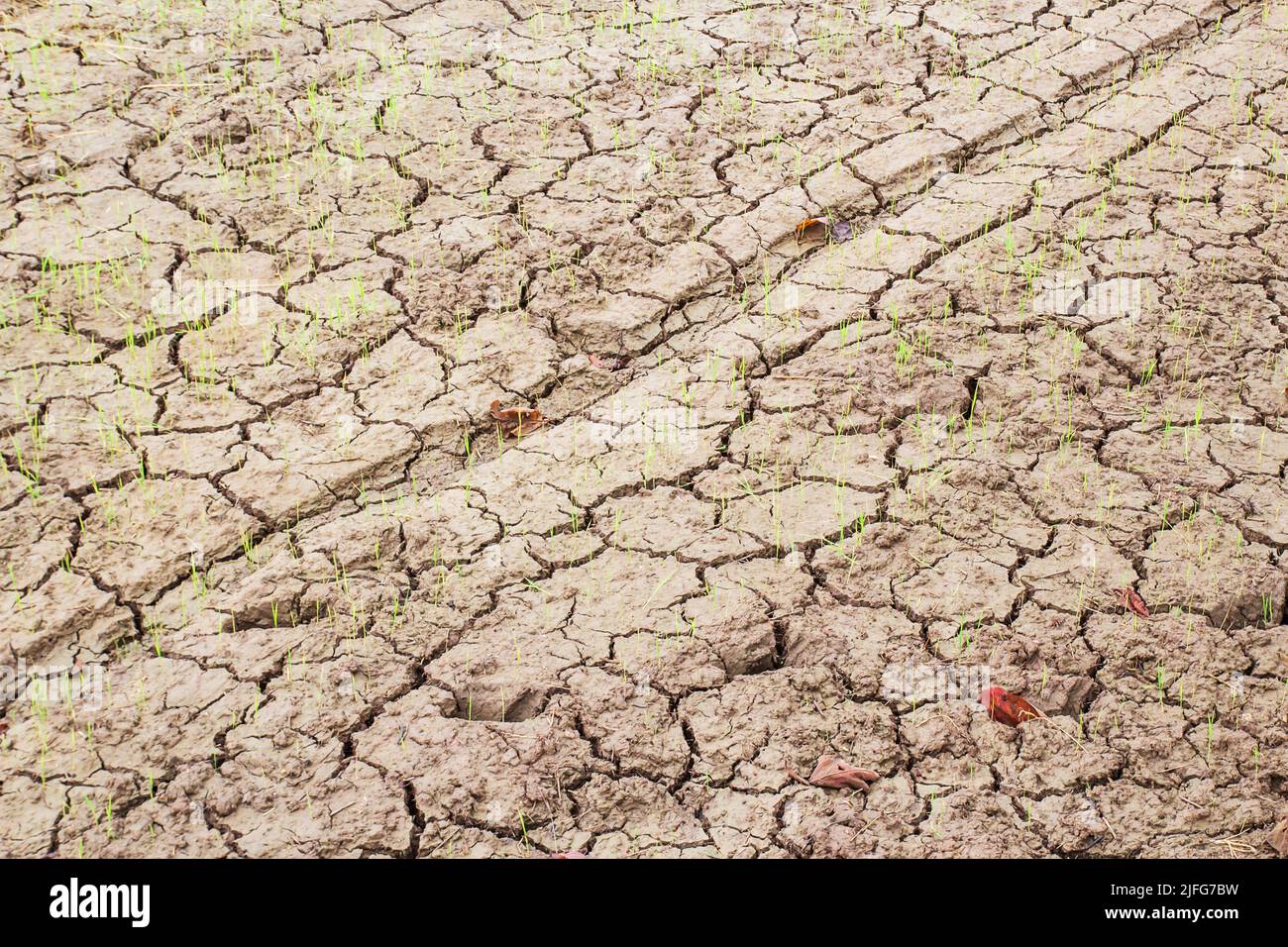 Cracked Ground Background. Natural Drought Theme Stock Photo - Alamy