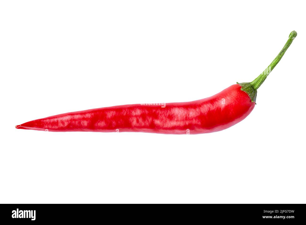Single chili pepper isolated on white background. Chili hot pepper ...