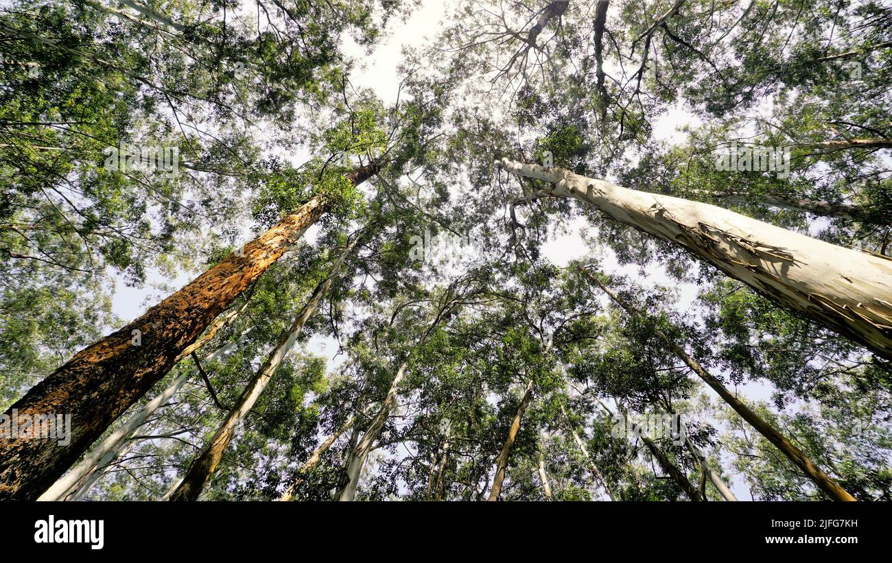 Ooty road trip hi-res stock photography and images - Alamy