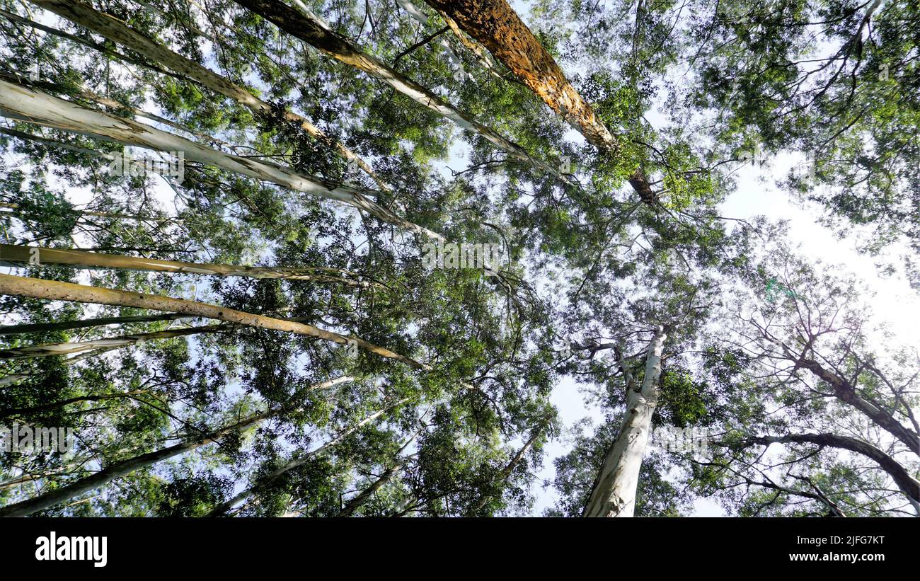 Ooty road trip hi-res stock photography and images - Alamy