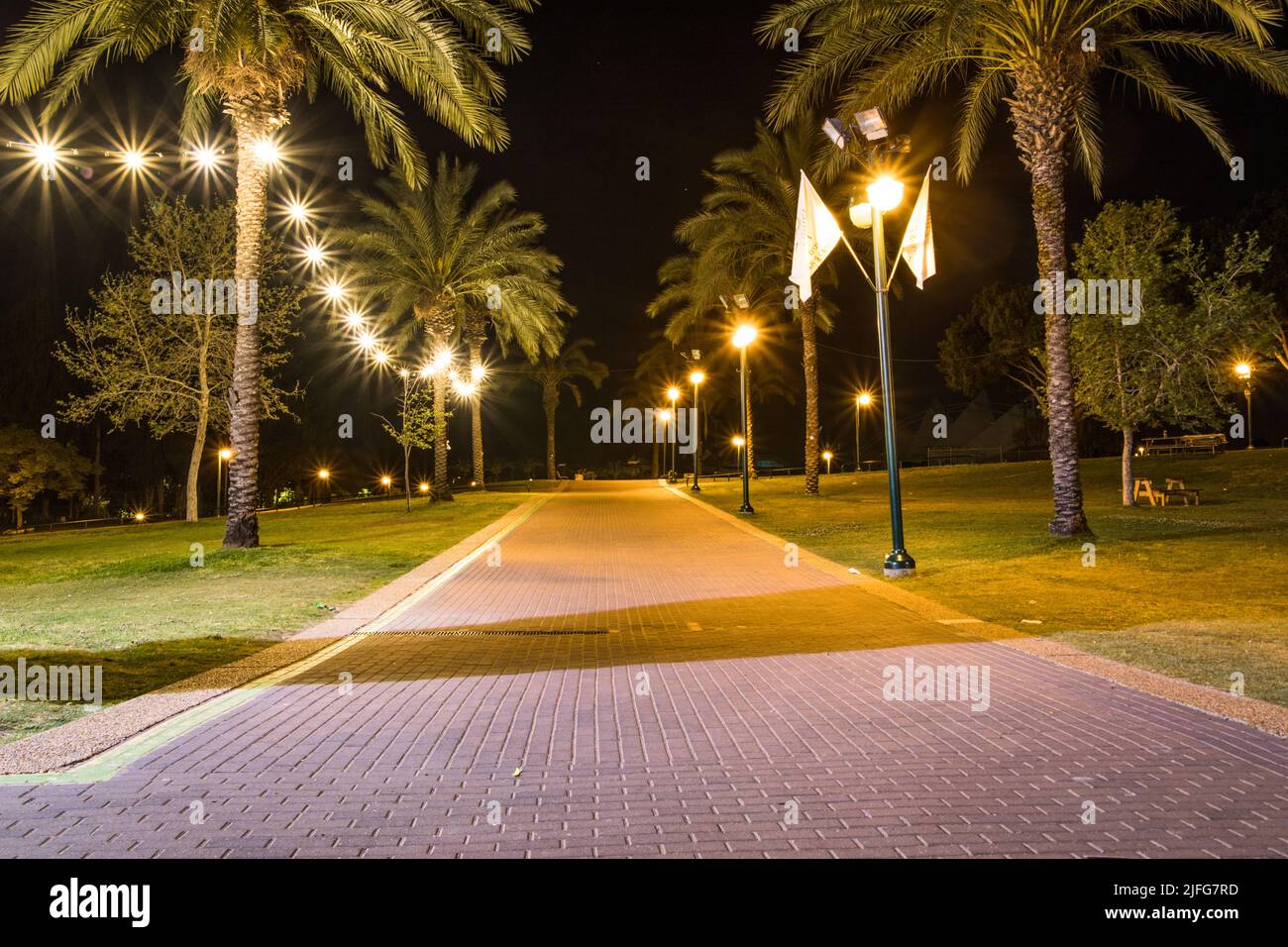 An empty park in the evening with lights and palm trees Stock Photo - Alamy