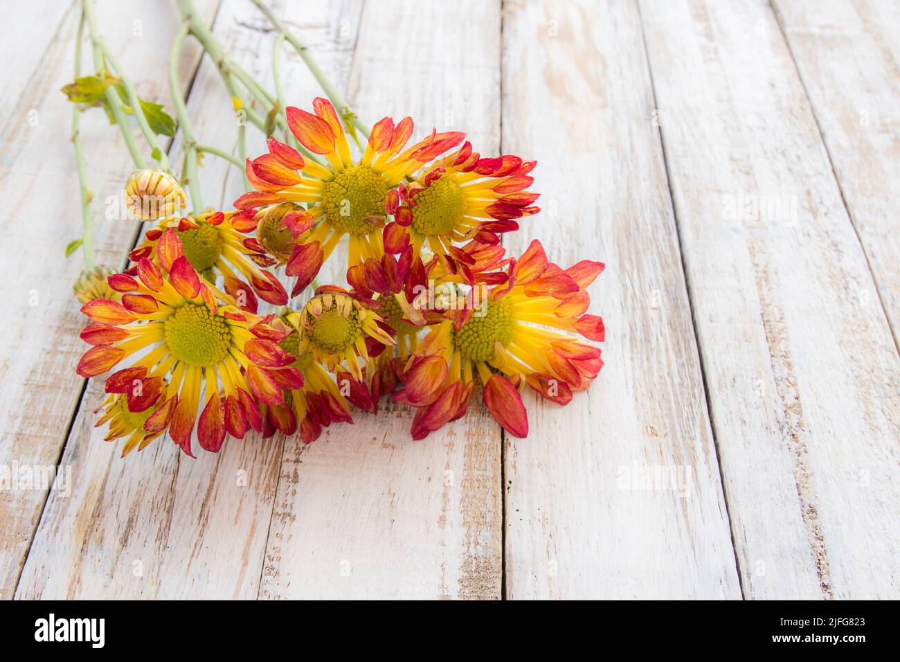 Fresh flowers on white wood table background Stock Photo - Alamy