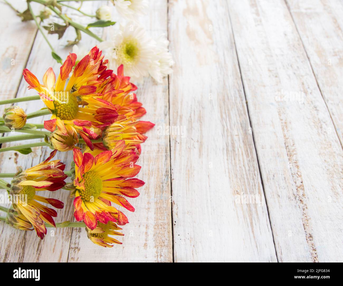 Fresh flowers on white wood table background Stock Photo - Alamy