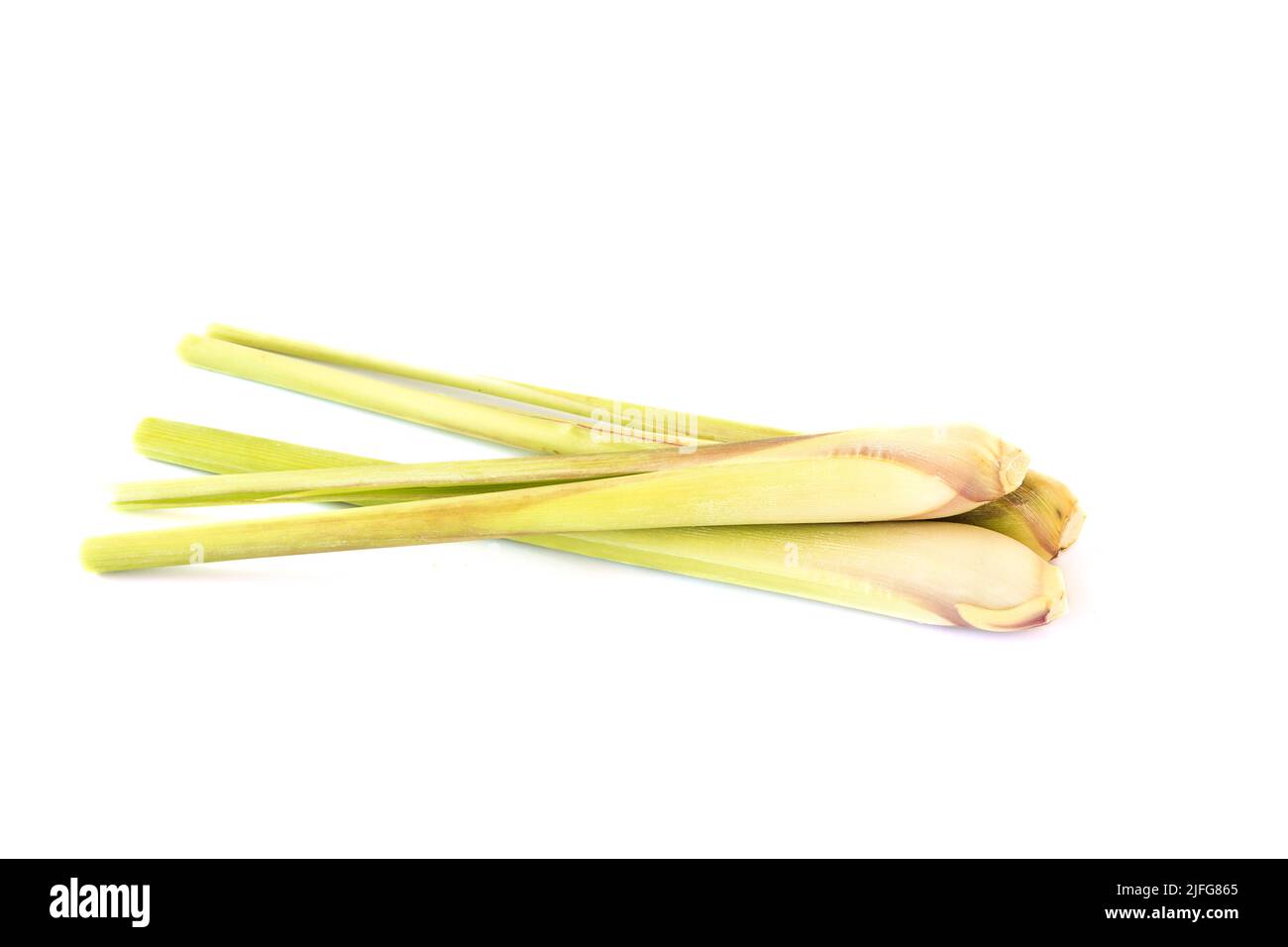 Fresh Lemon grass on a white background Stock Photo - Alamy