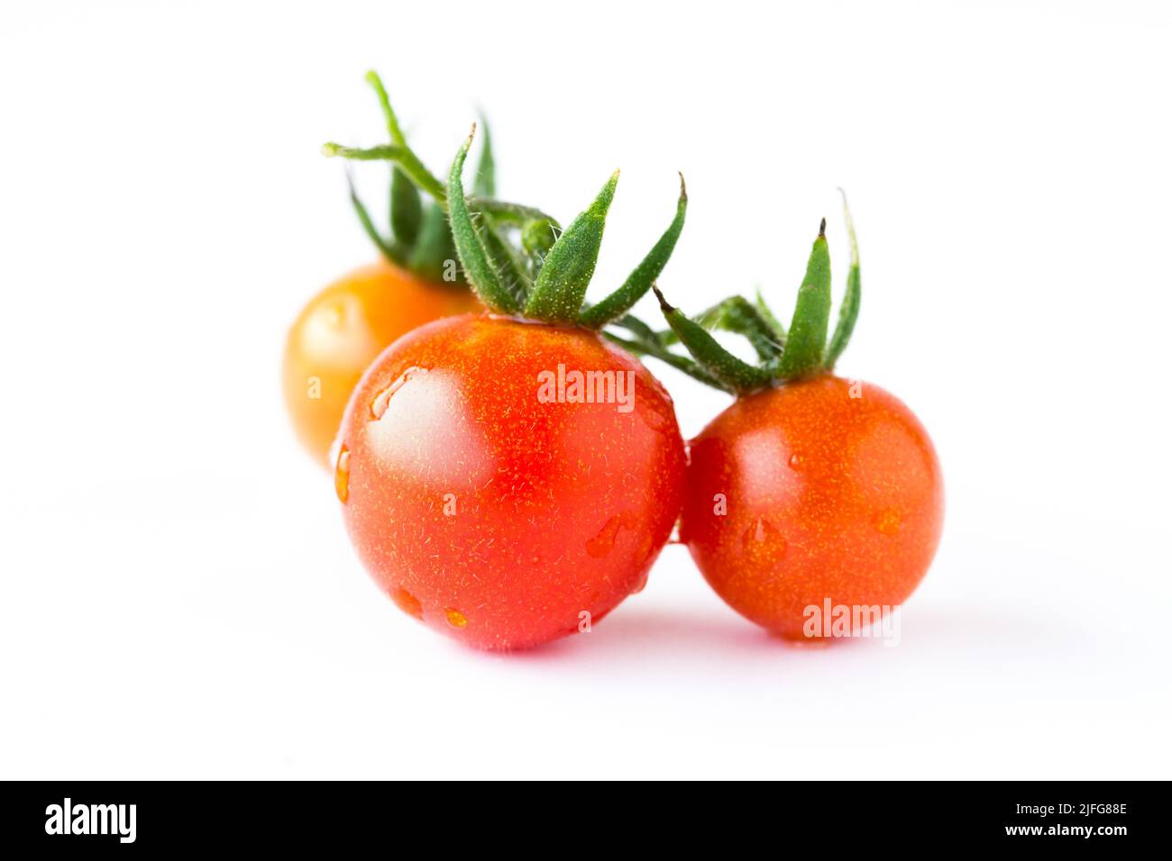 Close up red tomatoes on a white background Stock Photo - Alamy