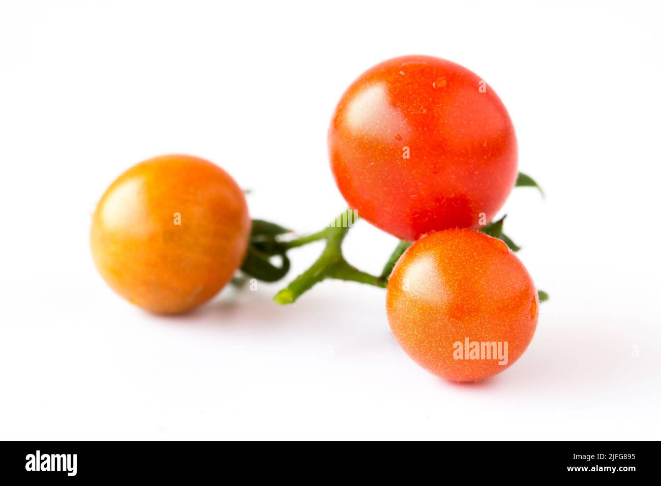 Close up red tomatoes on a white background Stock Photo - Alamy