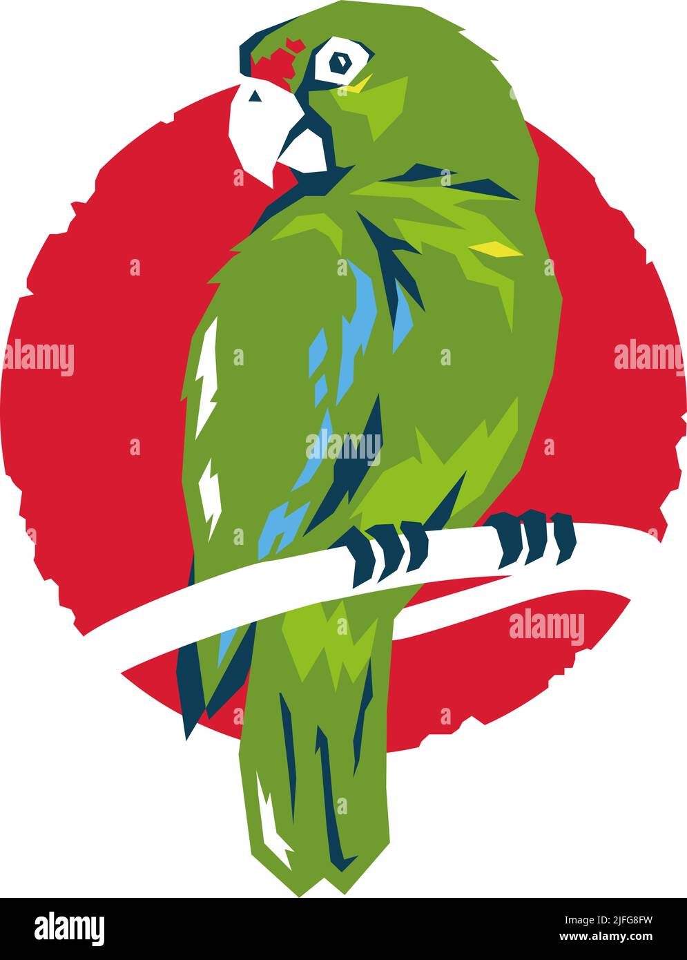 Parrot logo hi-res stock photography and images - Alamy