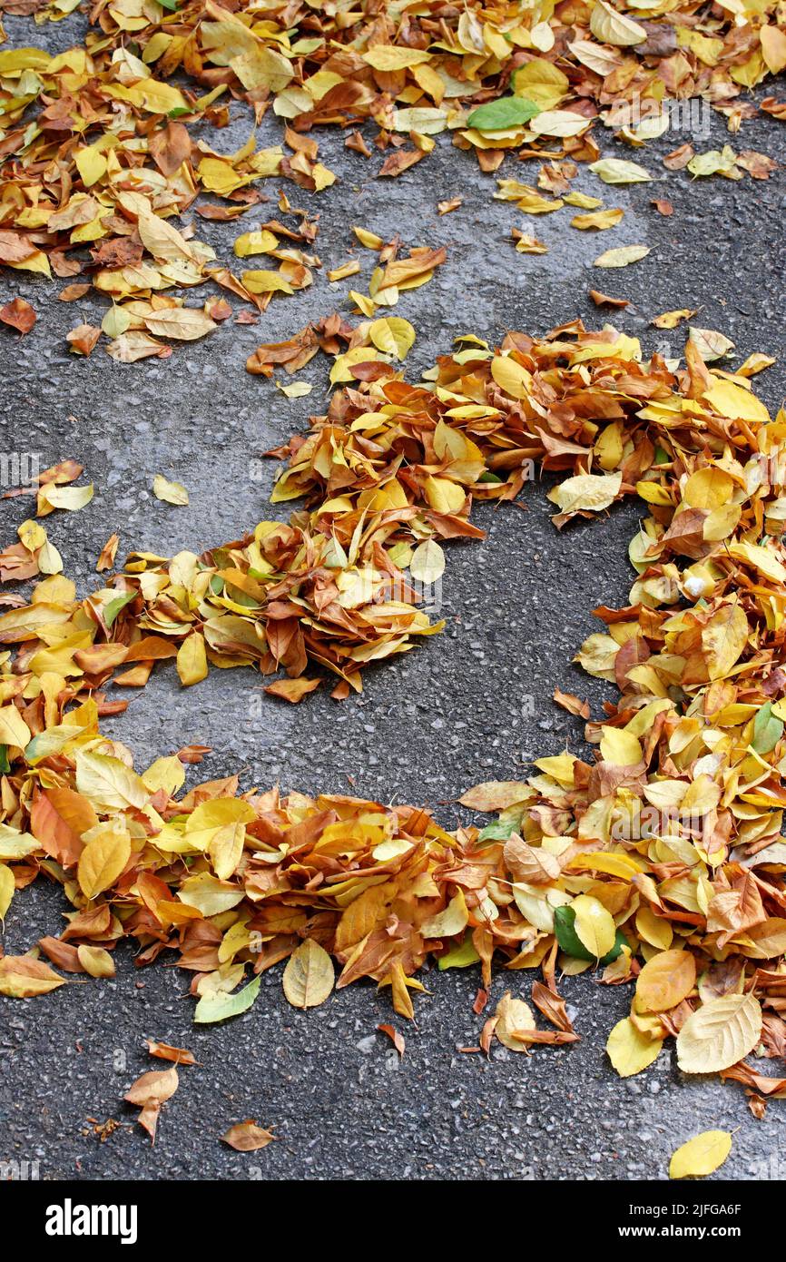 Heart-shaped autumn leaves falling on the ground Stock Photo - Alamy