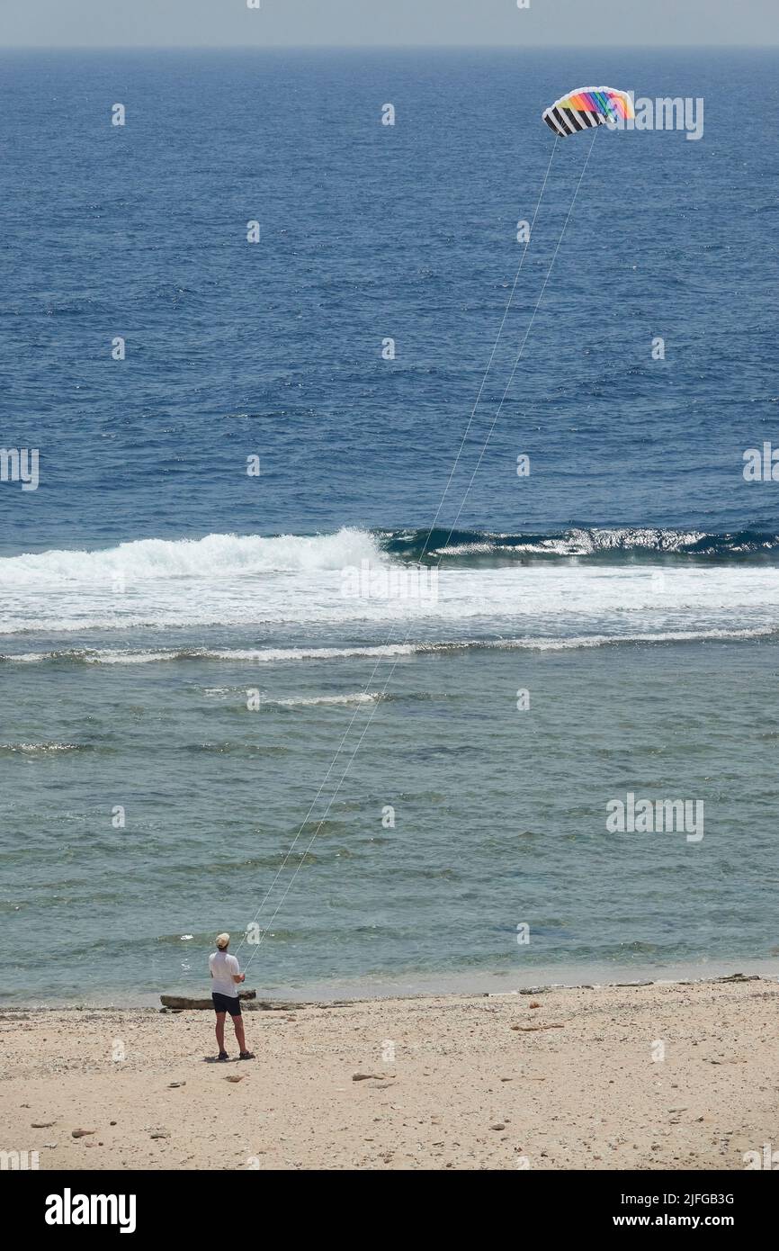 A vertical shot of a person flying a kite on the beach on the Red Sea ...