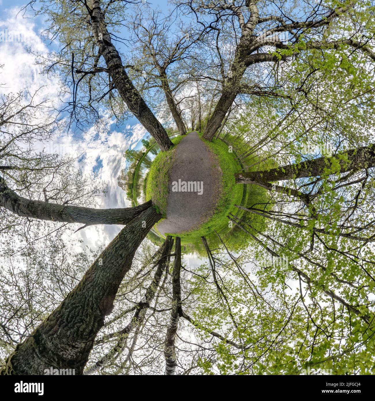 autumn tiny planet transformation of spherical panorama 360 degrees ...