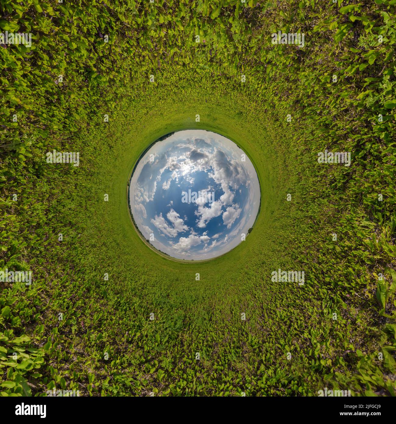 blue sphere little planet inside green grass round frame background ...