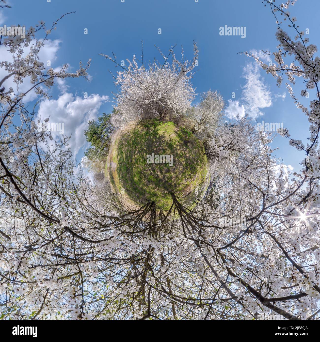 spring tiny planet transformation of spherical panorama 360 degrees ...