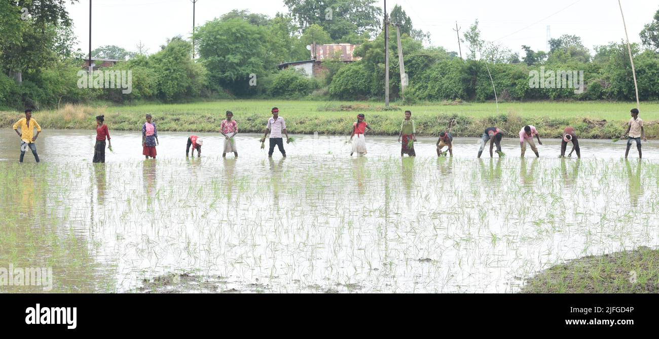 Indian workers hi-res stock photography and images - Alamy