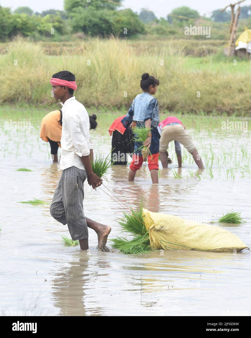 Indian workers hi-res stock photography and images - Alamy