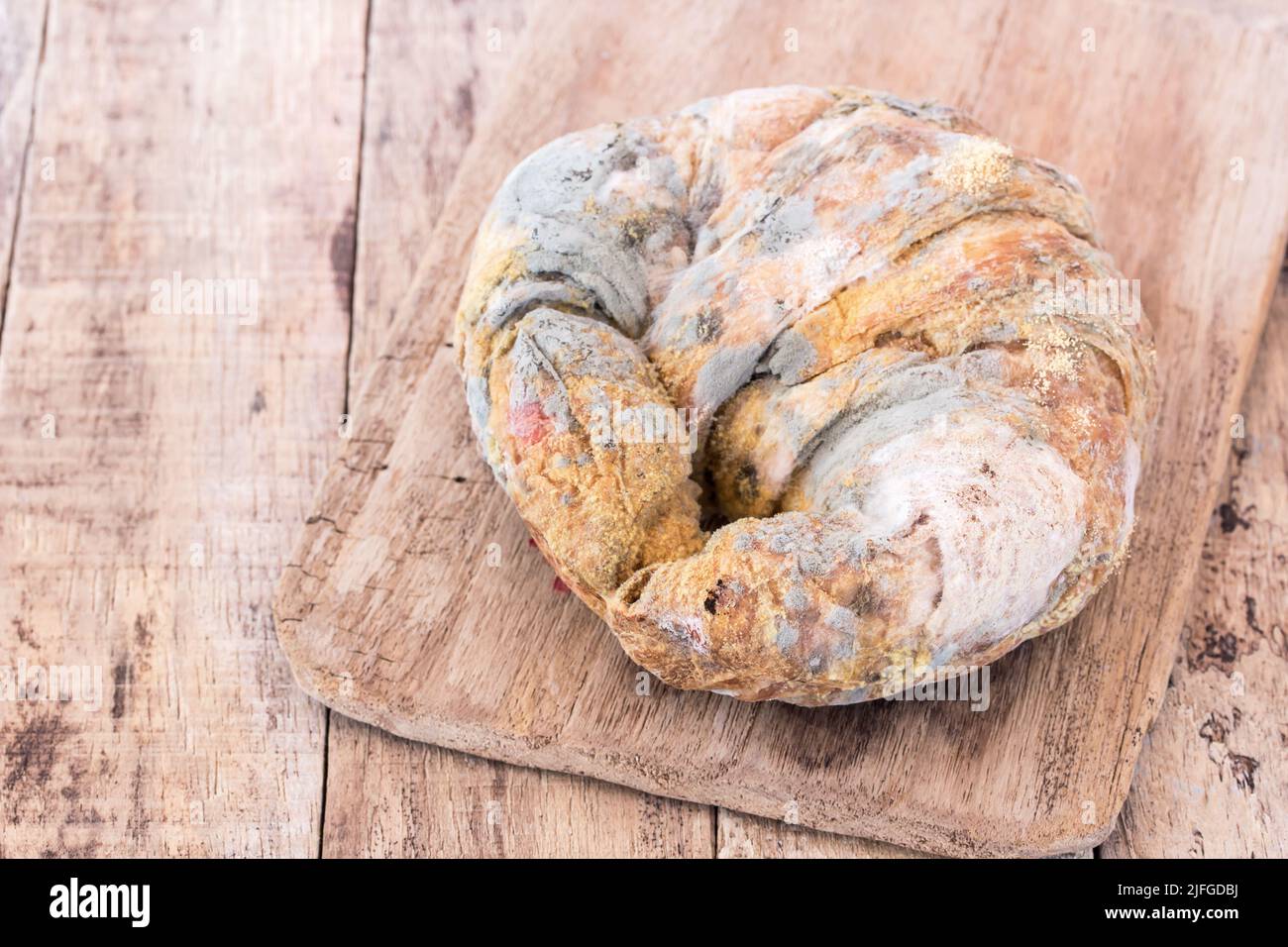 Growing rapidly on moldy bread in green and white spores Stock Photo ...