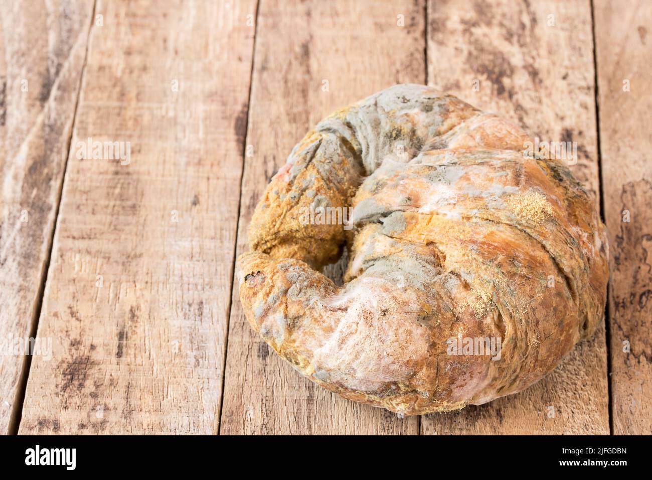 Growing rapidly on moldy bread in green and white spores Stock Photo ...