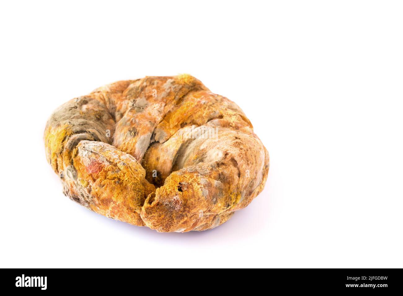 Growing rapidly on moldy bread in green and white spores on white ...