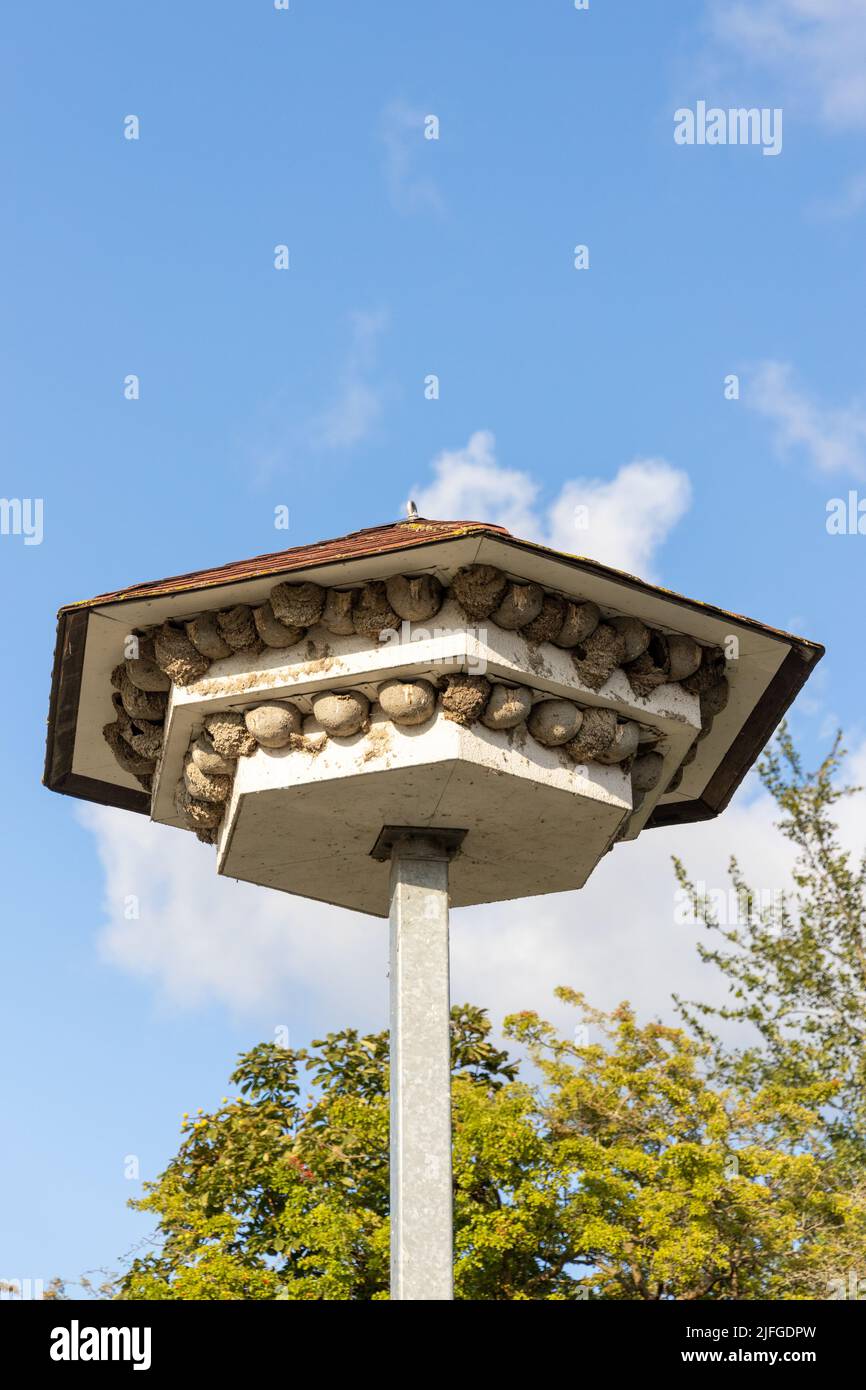 A big nesting tower for swallows and buildings to protect Stock Photo ...