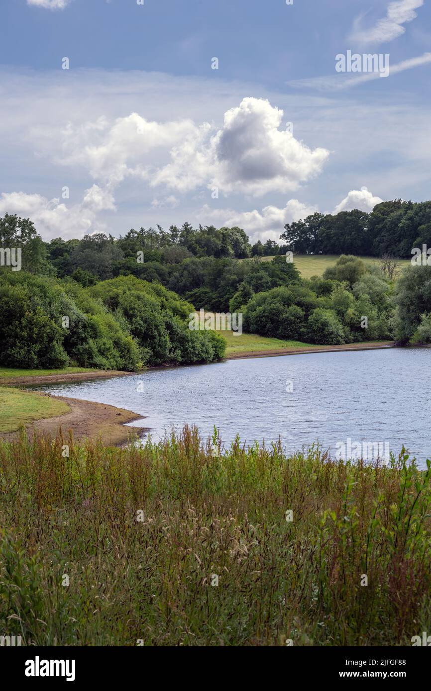 View of Bewl Water reservoir on a summer afternoon, Kent, South of ...