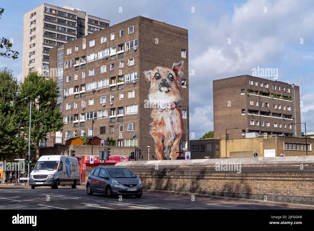Chihuahua mural on side of Tower Block on Chrisp Street, Poplar, East ...