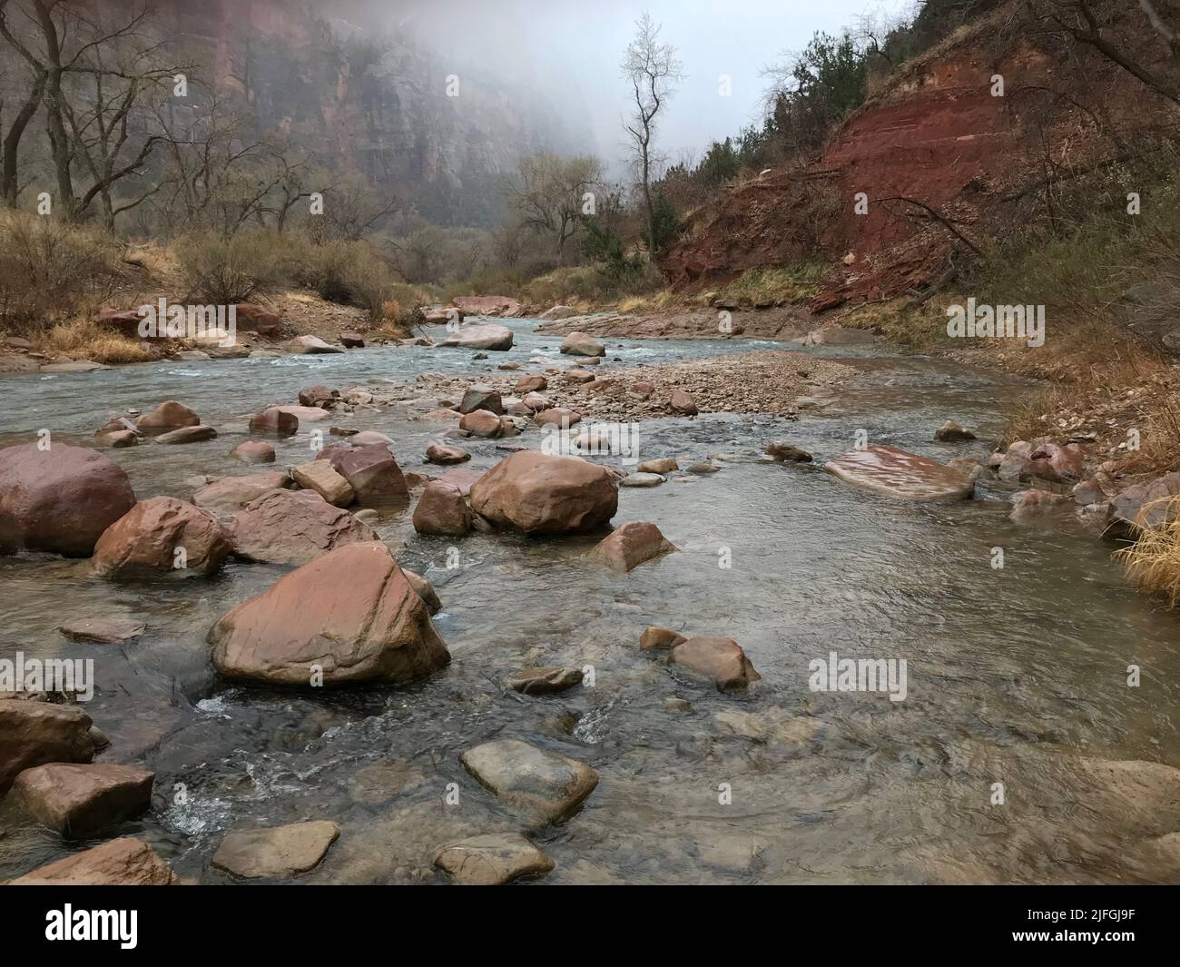 A river flowing through rocks covered with moss in a forest in ...