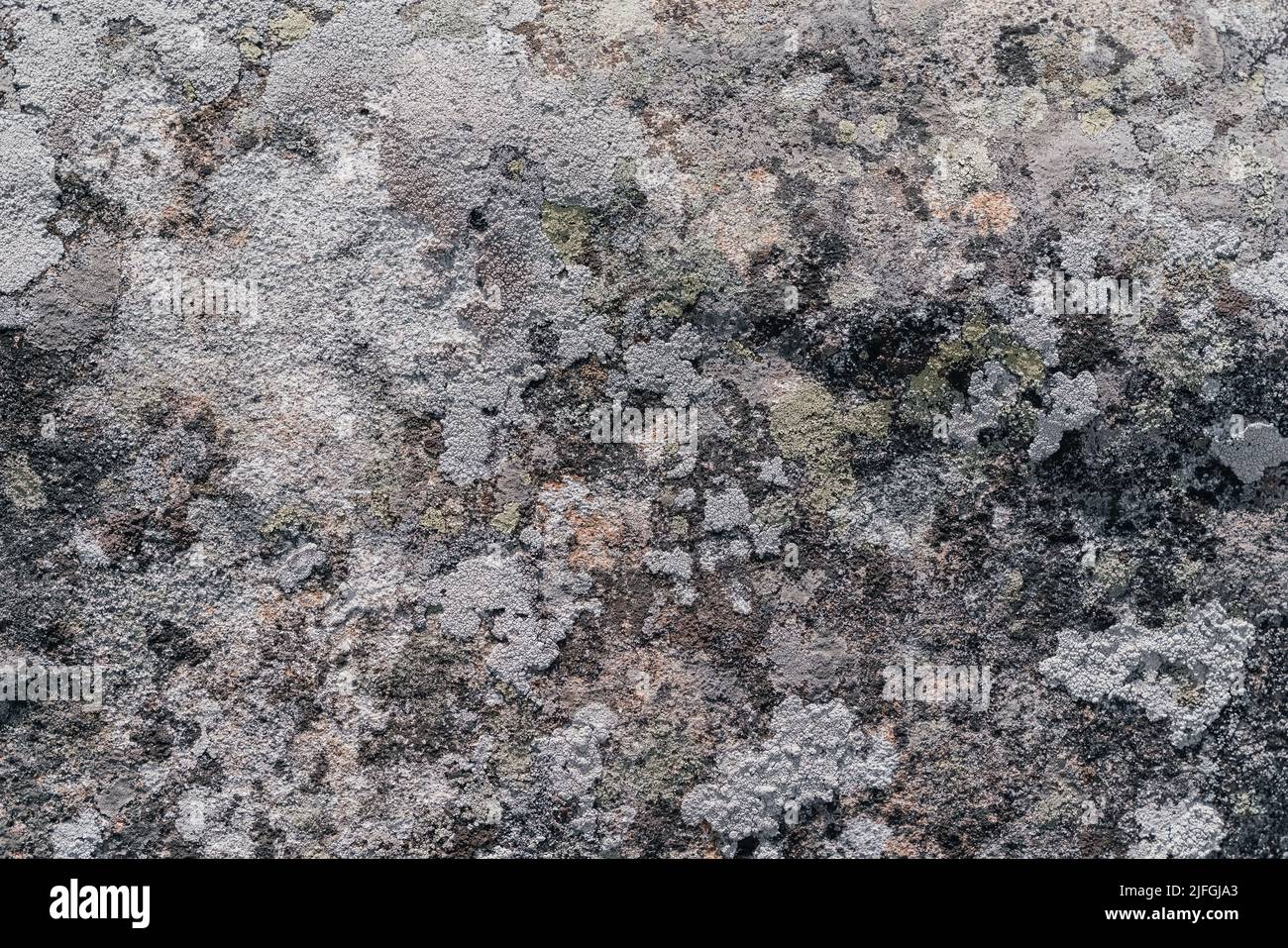 Steadfast background hi-res stock photography and images - Alamy