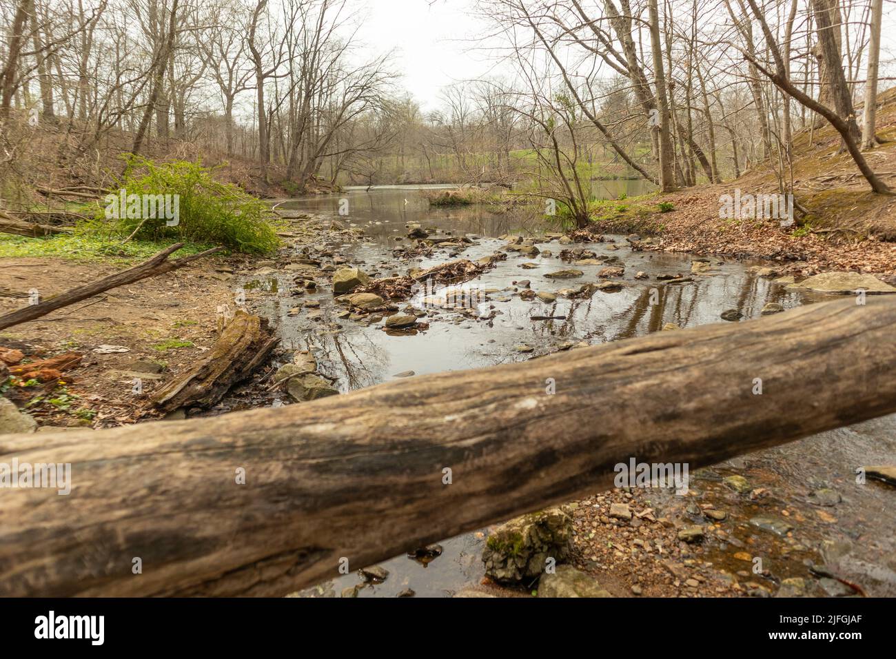 A river flowing through rocks covered with moss and fallen tree logs in ...